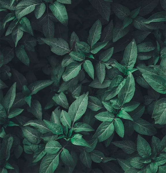 photographing patterns