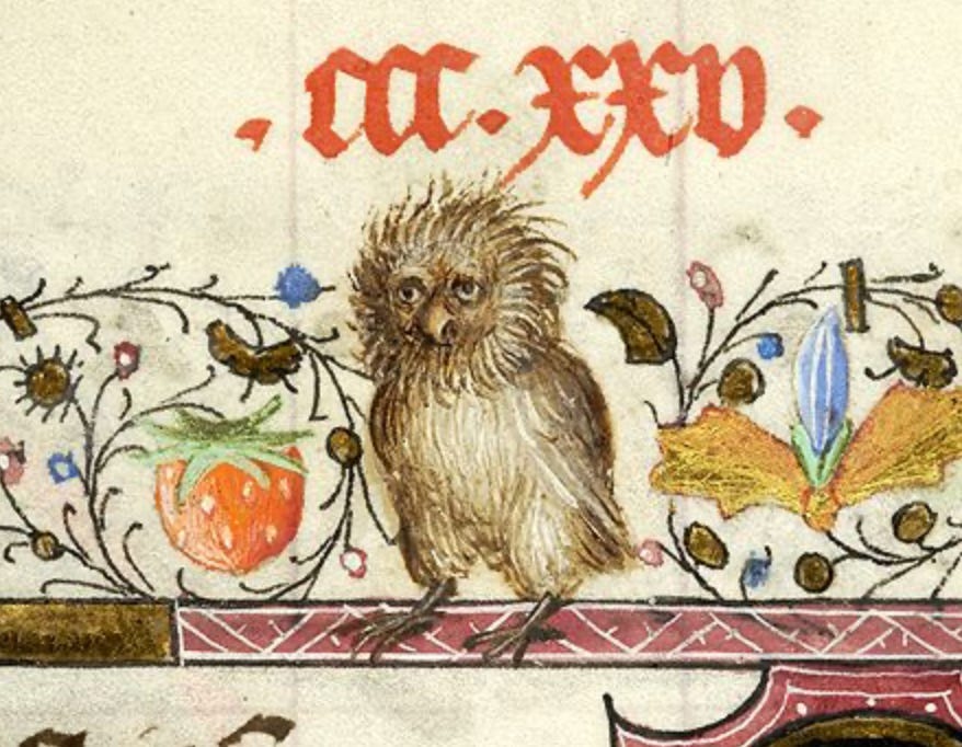 10 Medieval Owls for Your October - by Lacey Bonar Hull