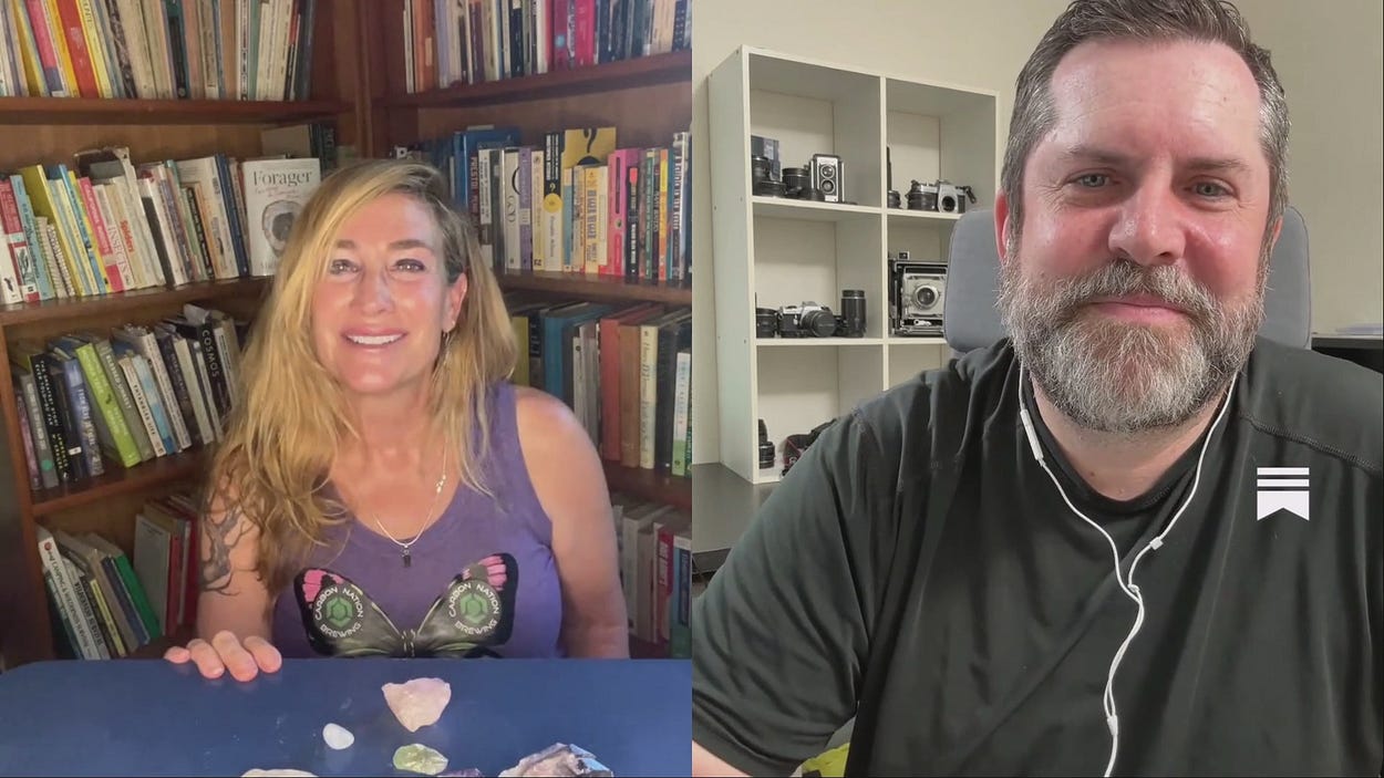 Collapse Curriculum | Justin McAffee | Substack