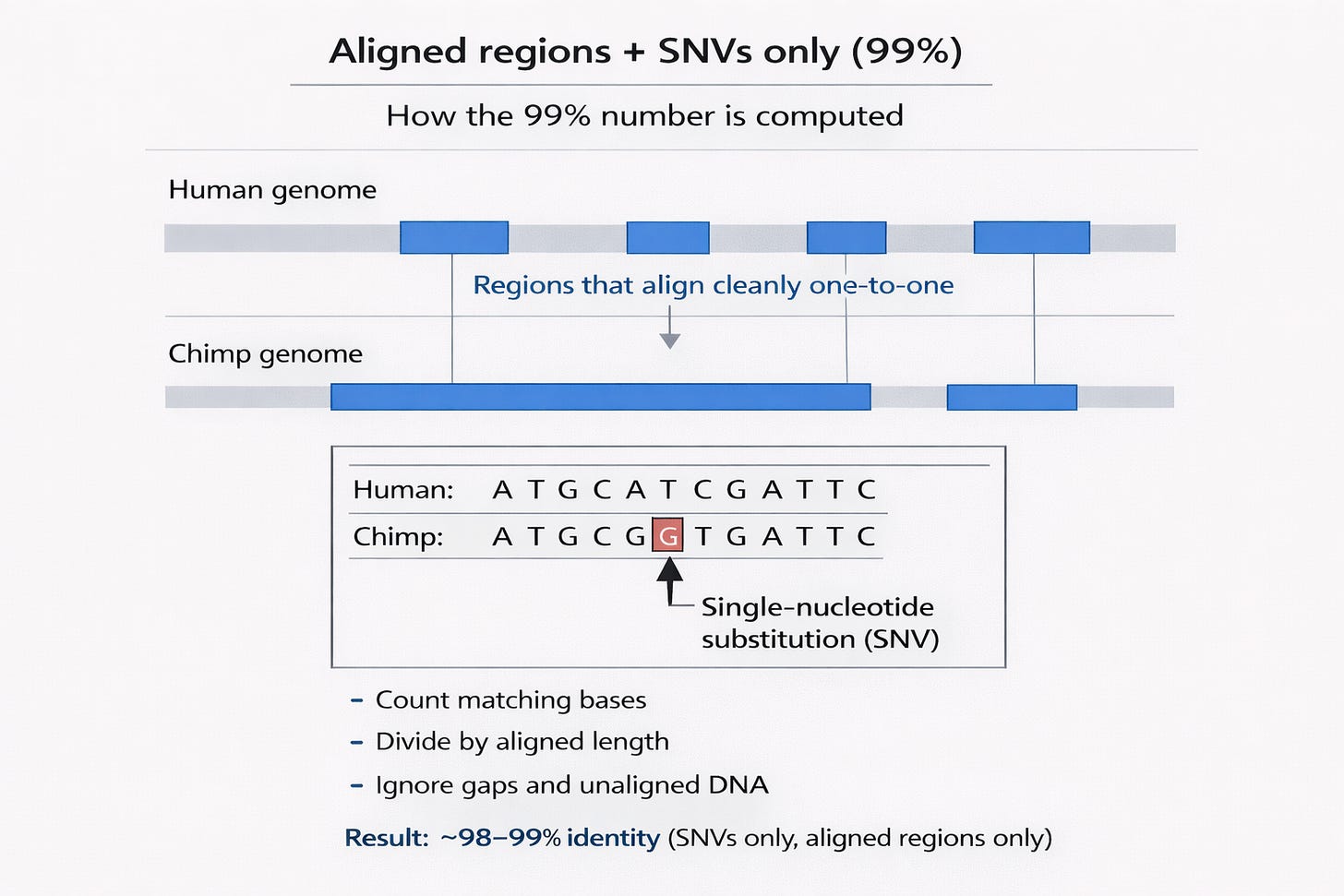 Human–Chimp DNA Similarity: 99%, 95%, or 85%?