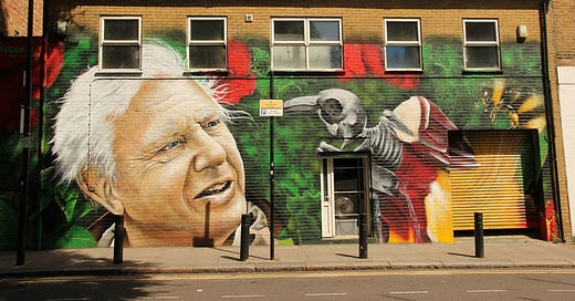 Varsity Newspaper | Varsity Newspaper Admin | Substack