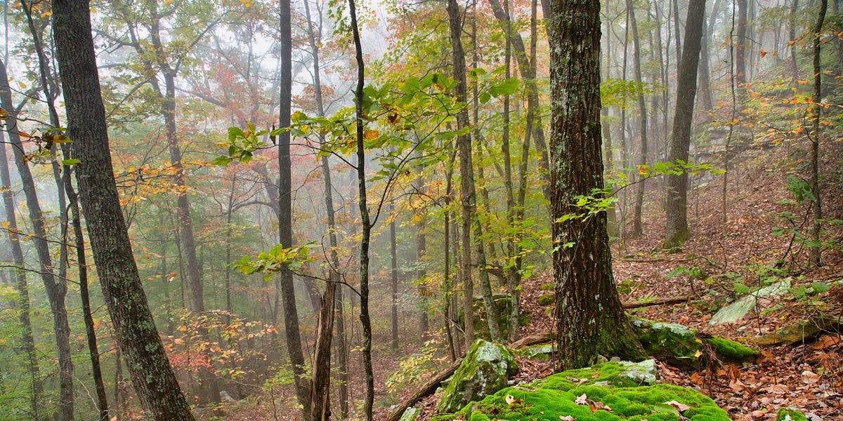 The Alabama Conservation Watchlist - by John Slaughter