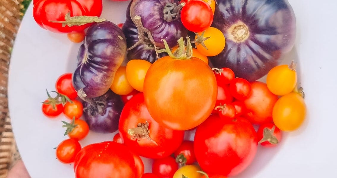 Seasonal Eating Made Simple: How We Cook and Eat with the Seasons at Home