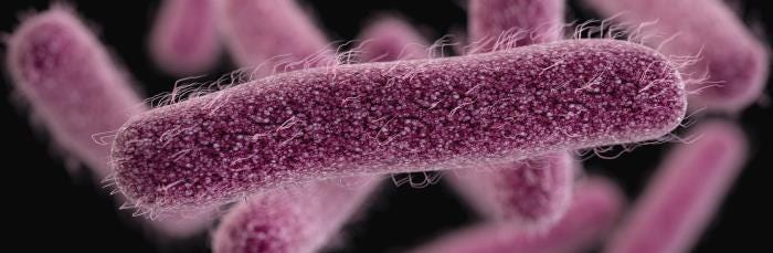 Vietnam: Shigella outbreak in Dien Bien province