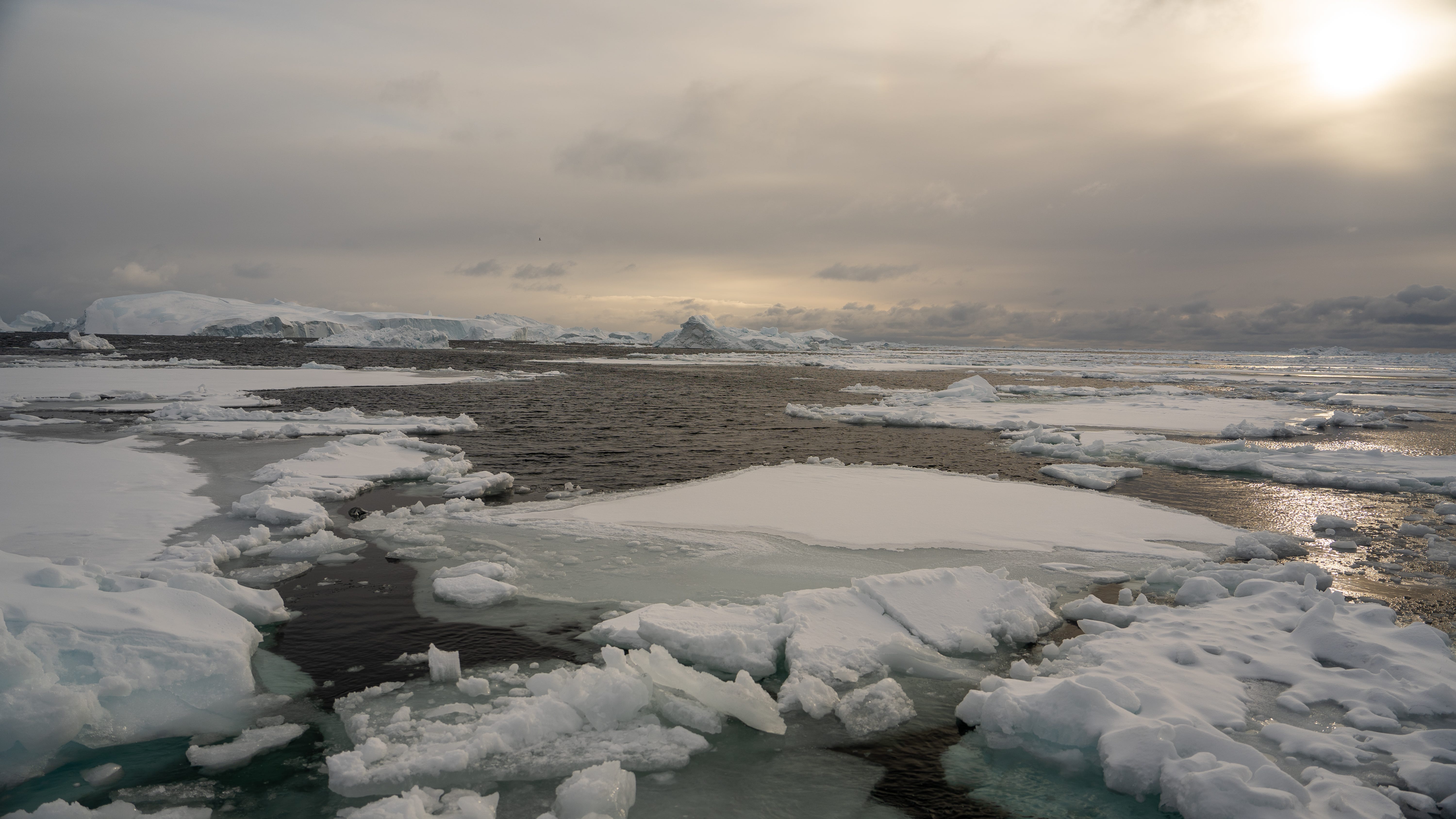 5 Types of Icebergs in Greenland: White, Blue, Black, Saltwater, and ...