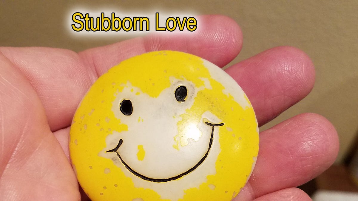 Comments - STUBBORN LOVE - by Terry Wright