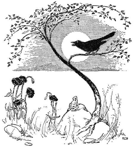 ILYA AND NIGHTINGALE THE ROBBER - by Clara MacGauffin