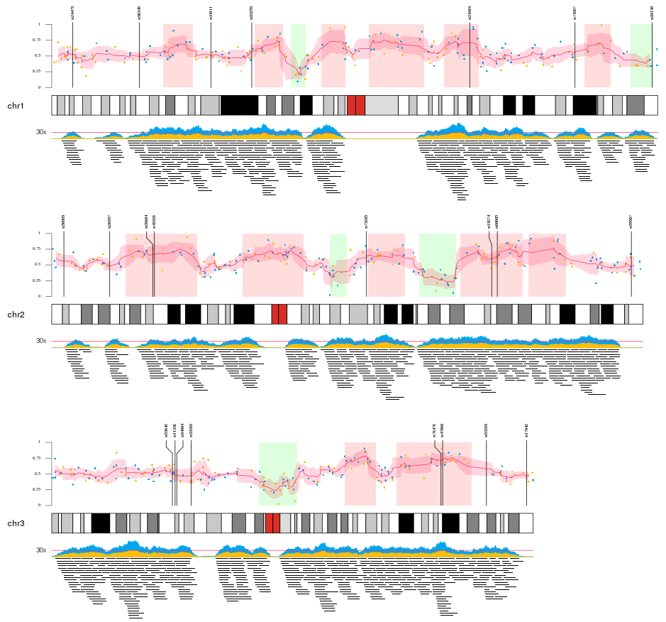 Plot data along a genome with karyoploteR