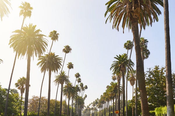 Girls of a Certain Age | Kim France | Substack