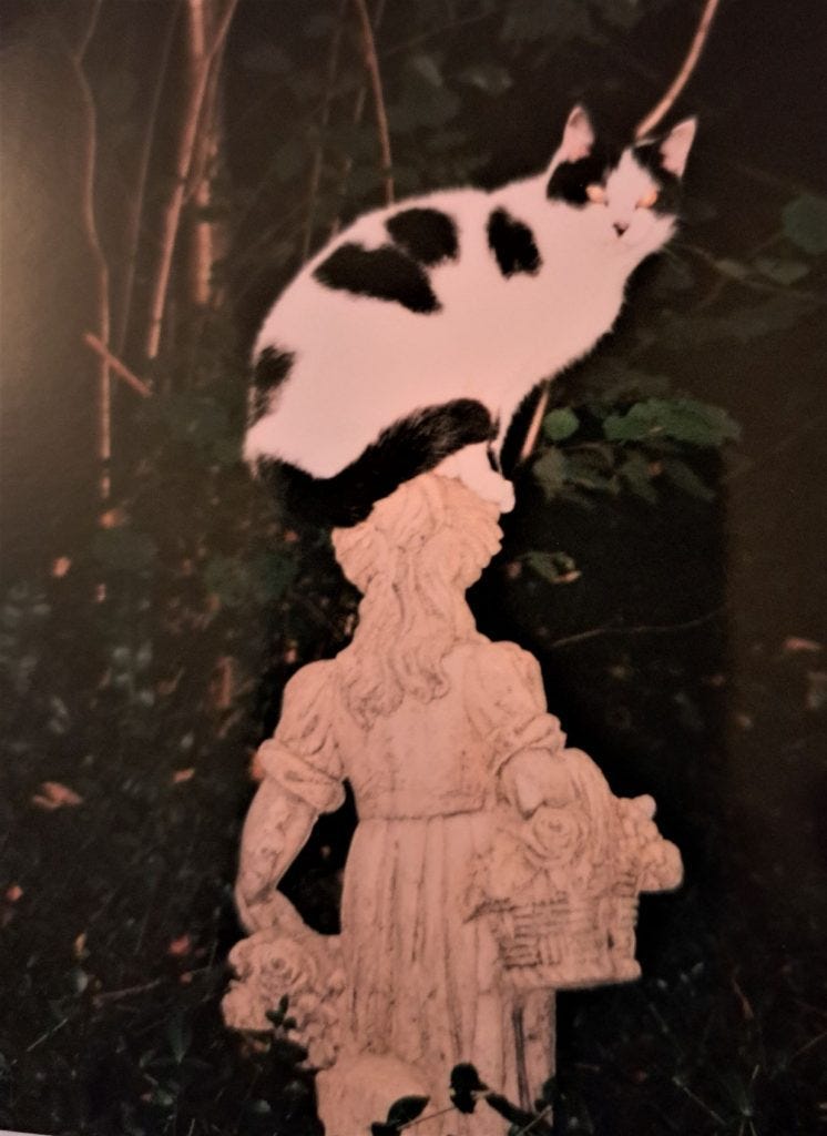 Why are our gardens so old fashioned? - by Anne Wareham