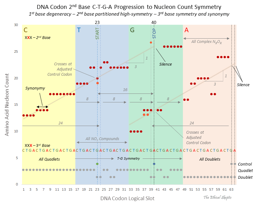 The DNA Code was Designed; the Decoder is the Code
