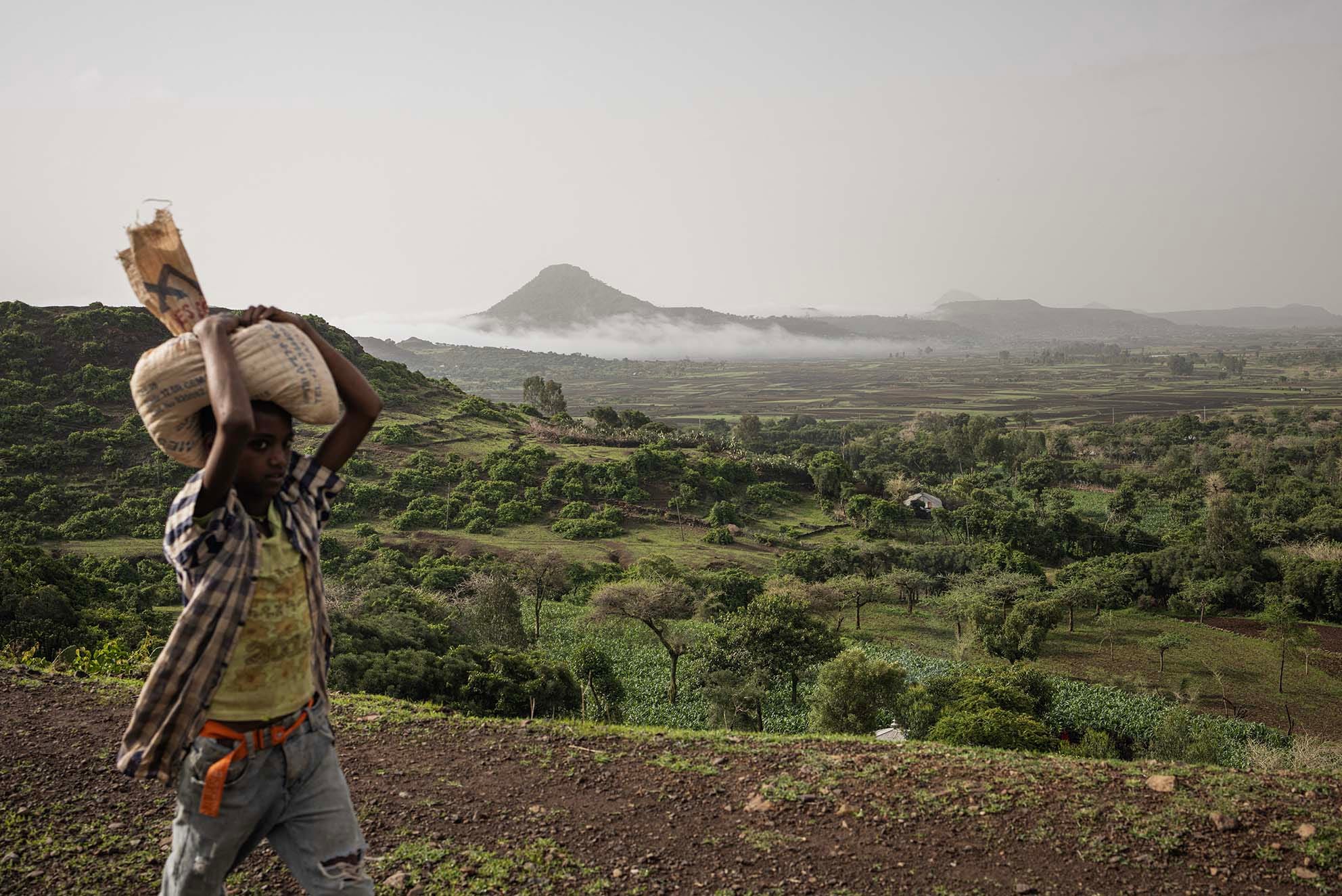 Tigray’s plundered gold is being laundered through the UAE