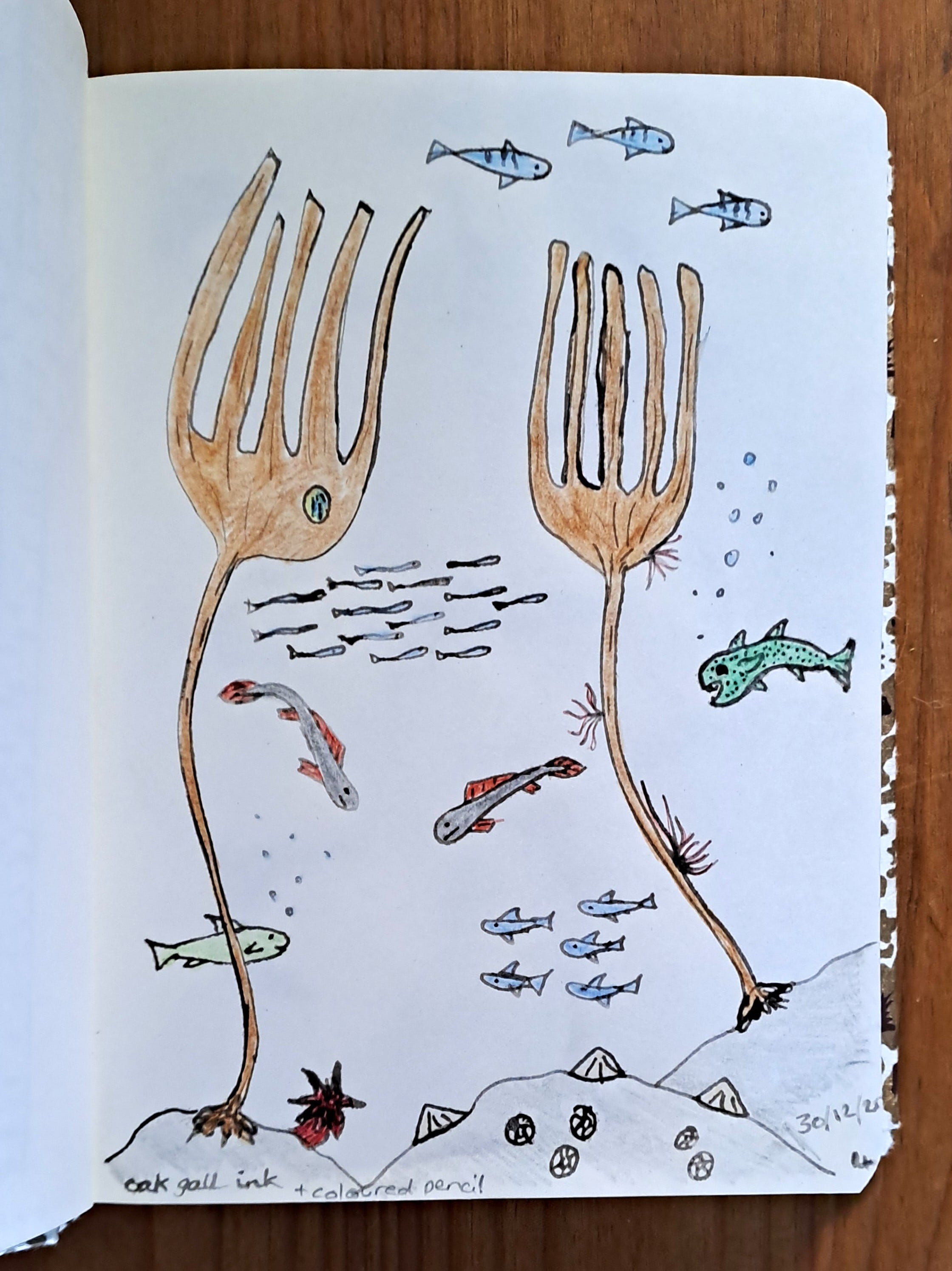 The 100 Pages Project - by Cat