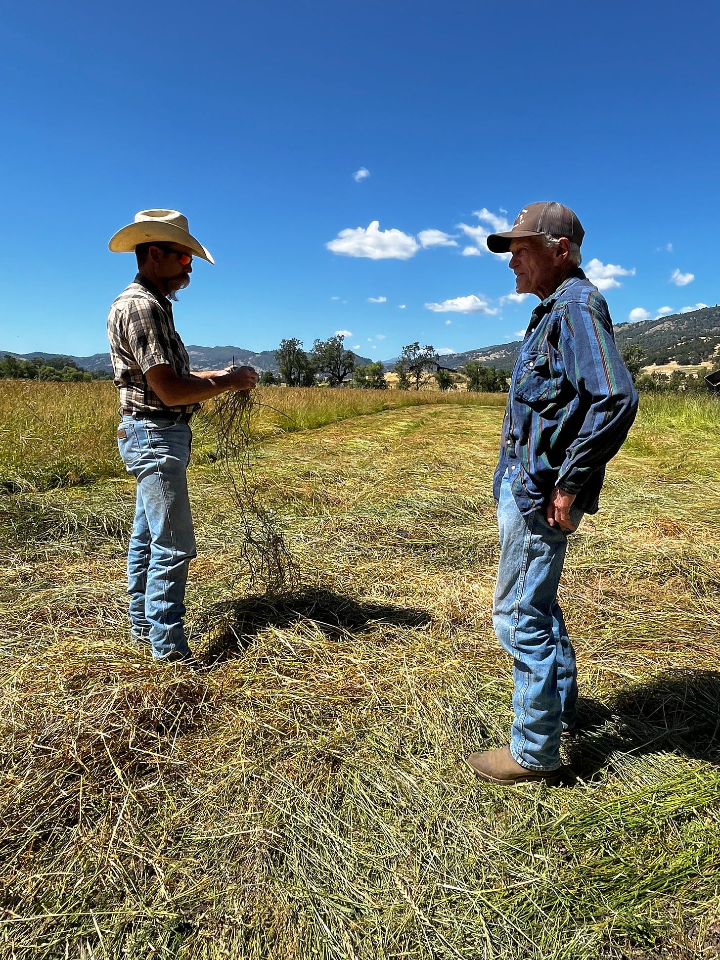 “This shuts us down:" Potter Valley ranchers say PG&E cut water without ...
