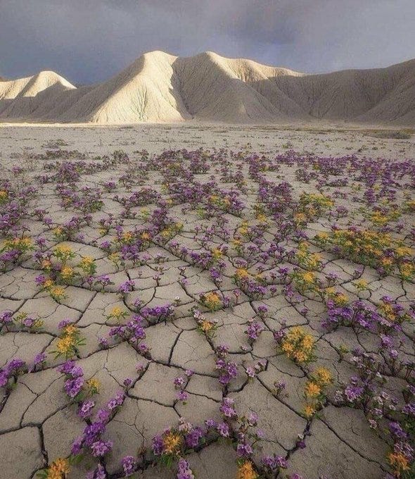 Why Is Chile So Long? - by Tomas Pueyo