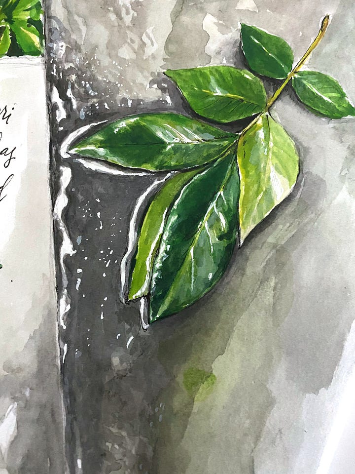 green leaves examples