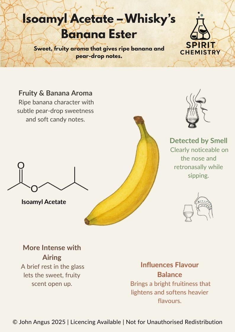 🧪 Ester Deep Dive - by John Angus
