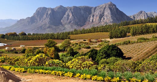 Through the Wine Glass | Keith Akers | Substack