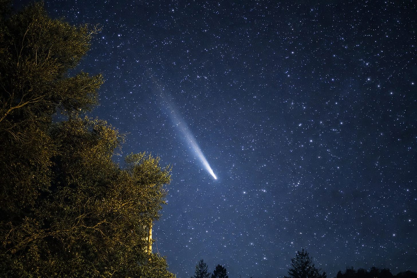 Philosophies of Ontogenesis: Evolution by Artistic Selection ...