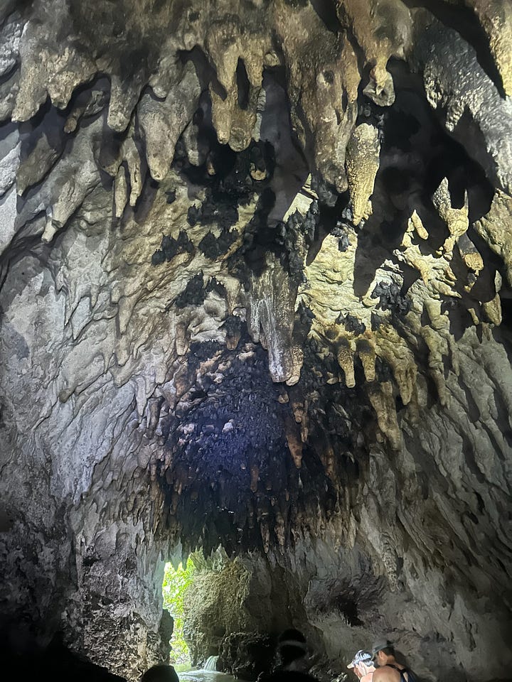 10 Days Off-Grid in Panama - by Ava DuBoff - Ava’s Substack