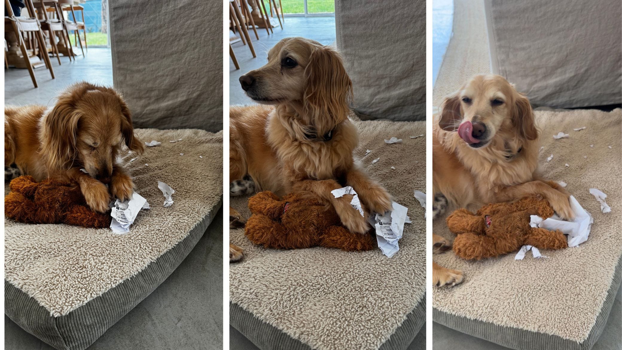 Snickerdoodle Muffins - Entertaining with Beth