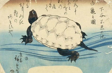 Turtles in Japanese Folklore and Culture