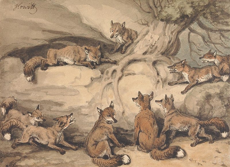 Aesop's Fables - by 1000GoodBooksProject