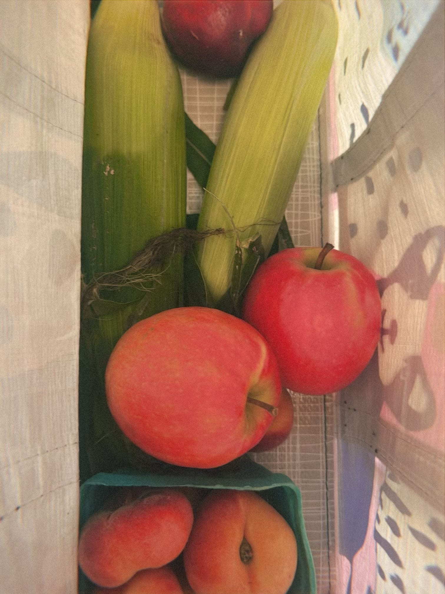 what i’m bringing into autumn - by cammi mcdermott