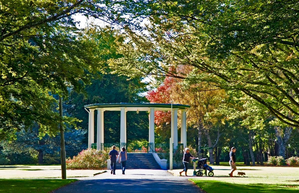 Section of Queens Park reopened earlier than expected