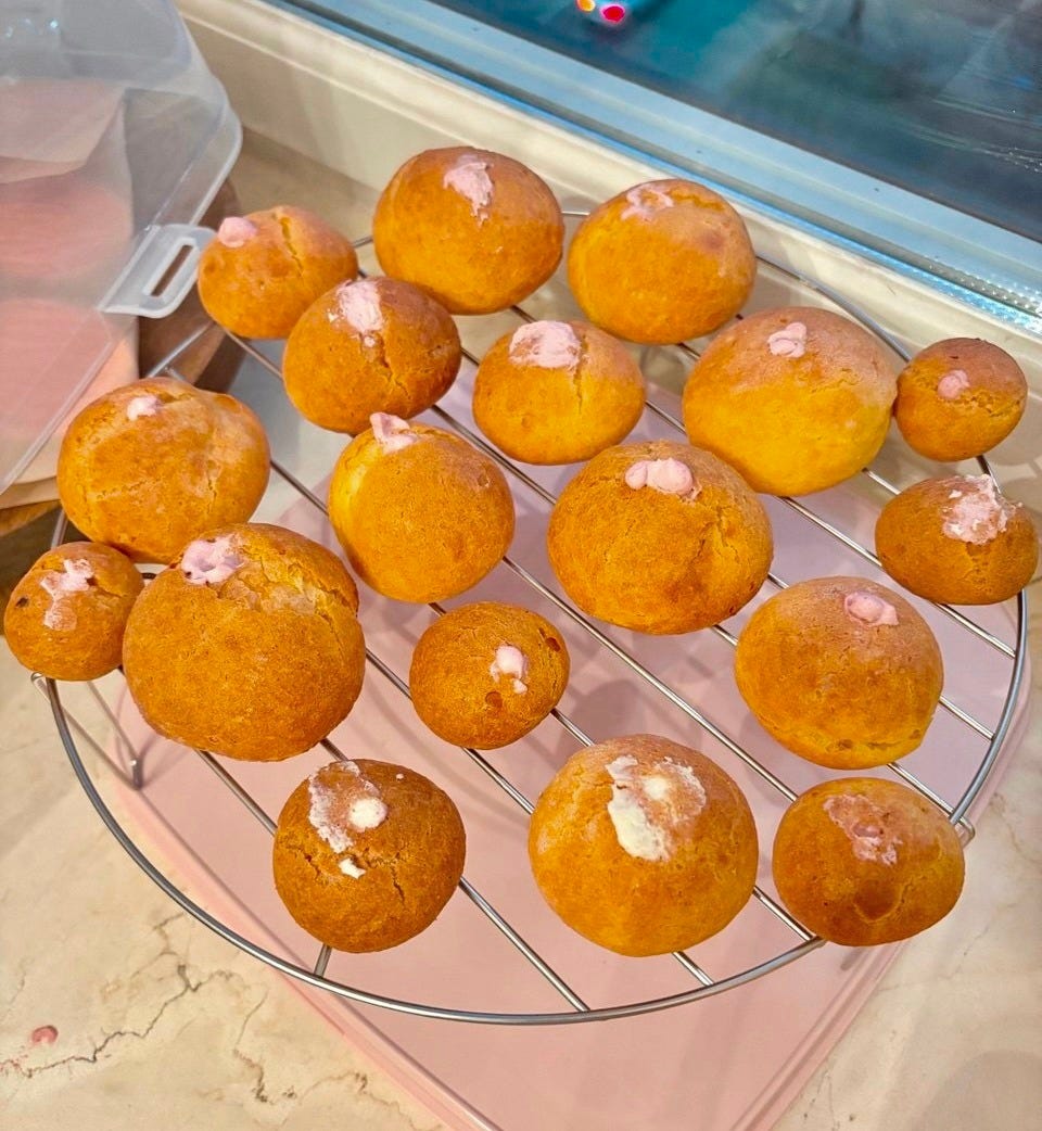 Bisuit Box #4: Choux Snowmen w Cranberry Creme Diplomate