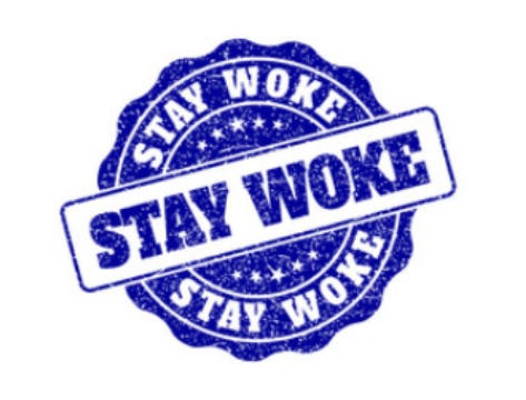 An Updated Glossary of Woke Terms
