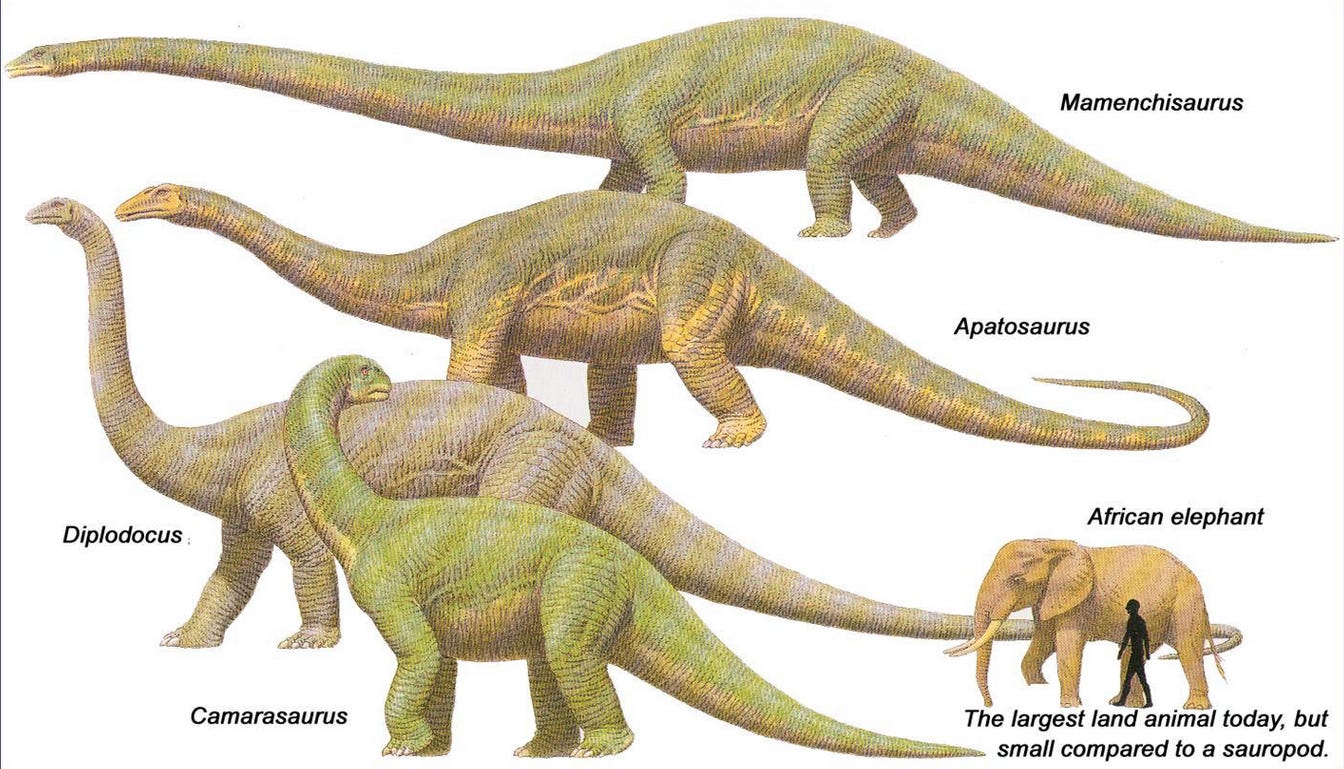 Dinosaurs & the Bible - Dr. Aaron Judkins Substack