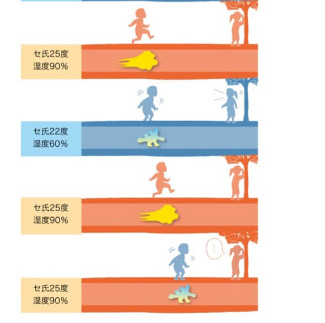 Brainless Genius: Slime Molds and the Tokyo Railway System