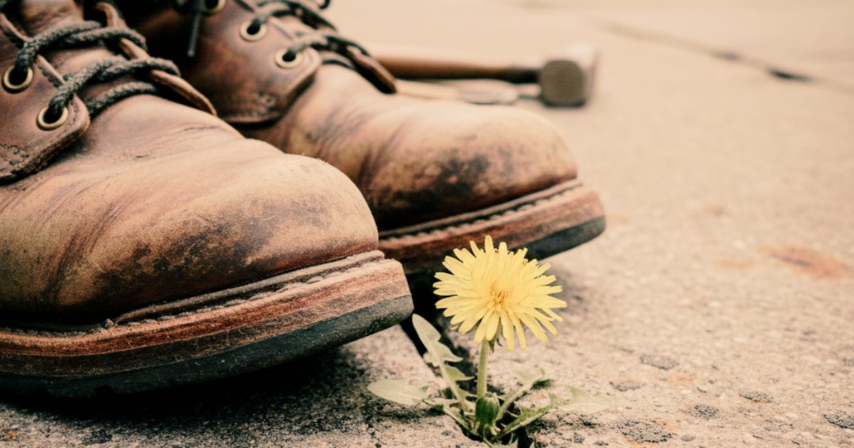 Durable Mastery - by Becky Allen - Becky’s Substack