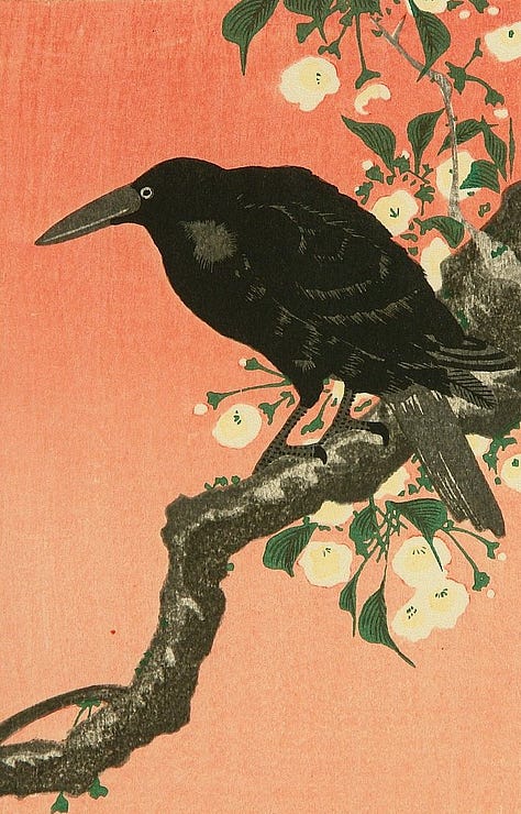 Crows in Japanese Folklore and Culture