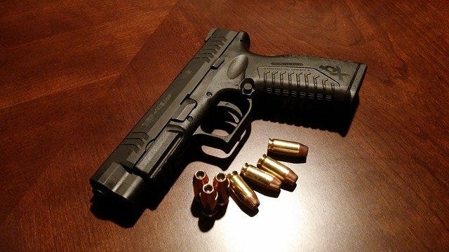 Surprising Portuguese Gun Policy - by Nancy Whiteman