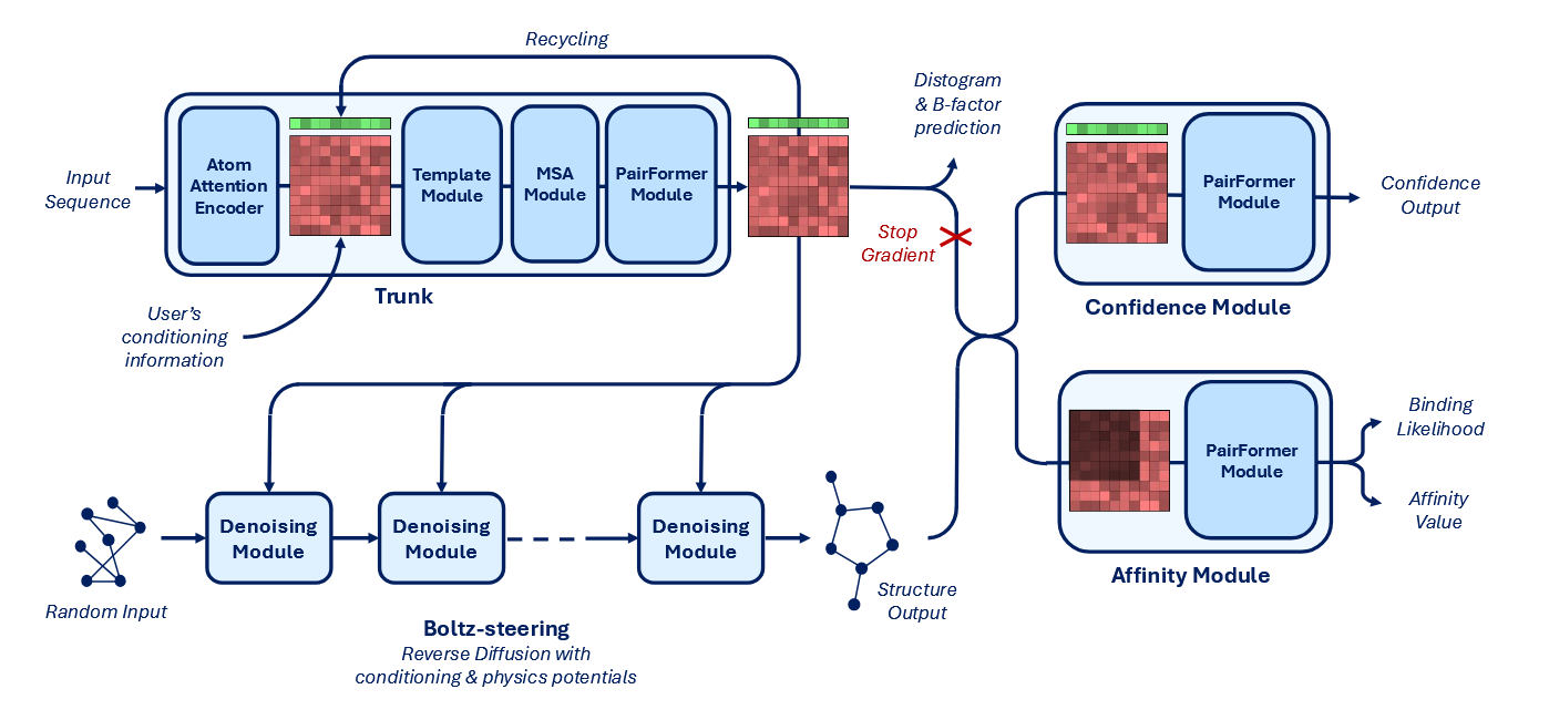 Boltz-2: The New Benchmark for AI-Driven Binding Affinity Prediction in Drug Discovery