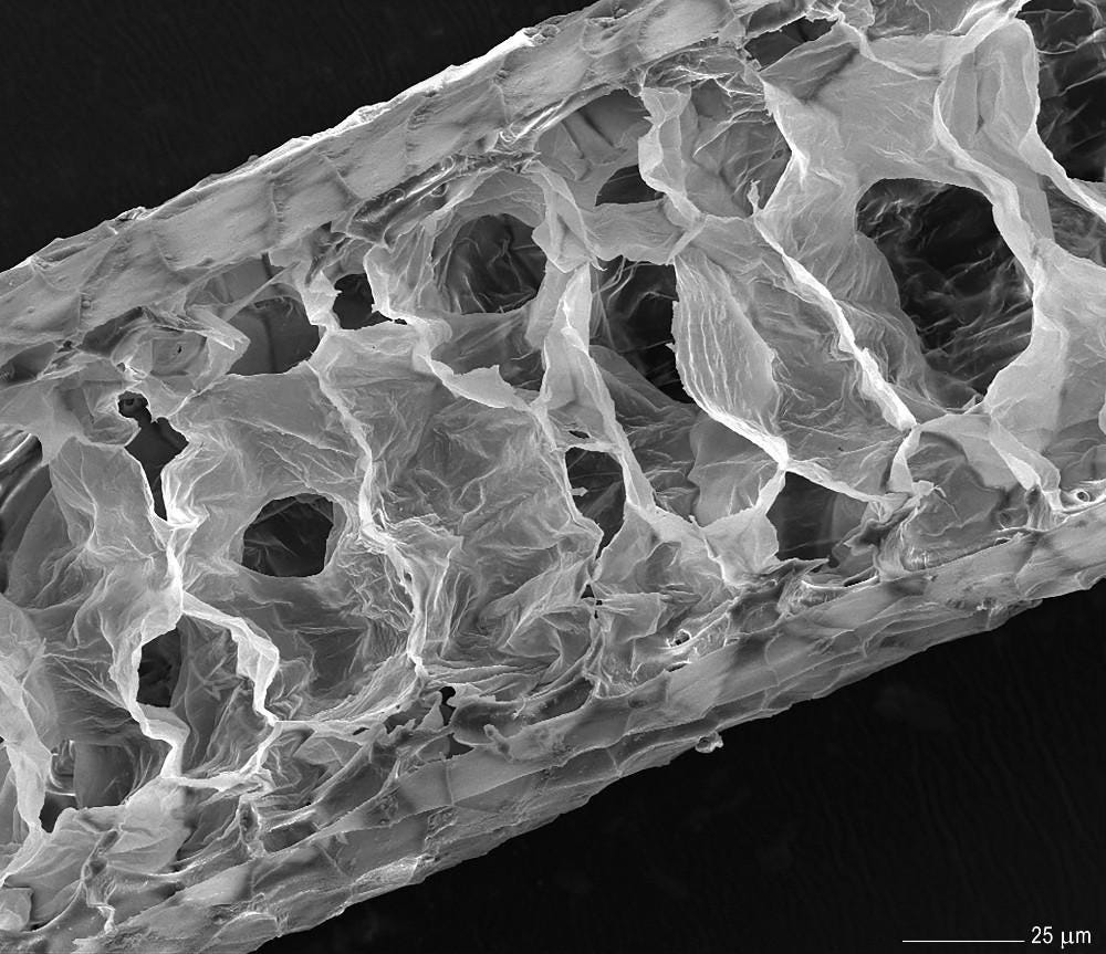 The First Down Parkas: Inuit Bird-Skin Clothing in the Arctic