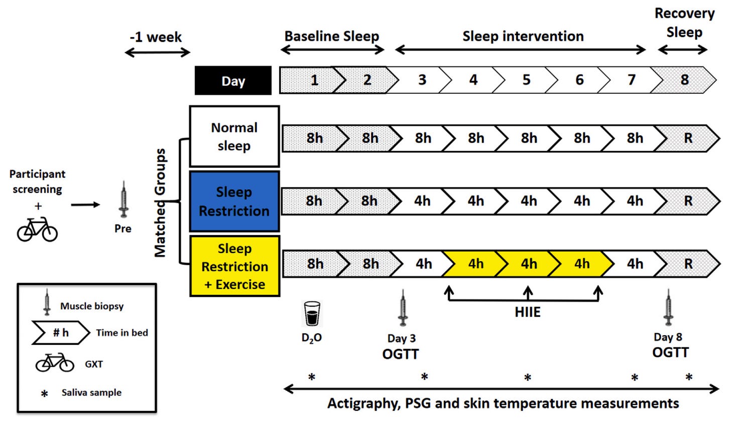 Outsmarting Sleep Deprivation: The Science-Backed Power of Exercise