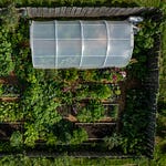 Huw Richards | Substack