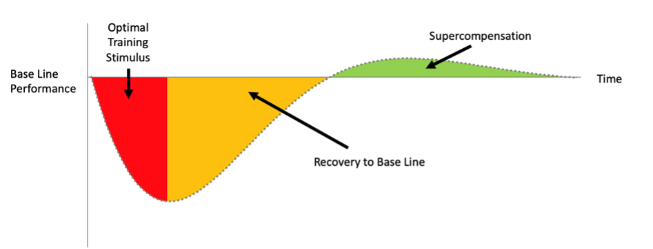 Training Theory: There must be a system to the madness!