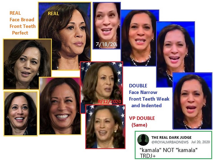 The Executed: Clones, Doubles, & Vril Lizard Reptilian Parasites