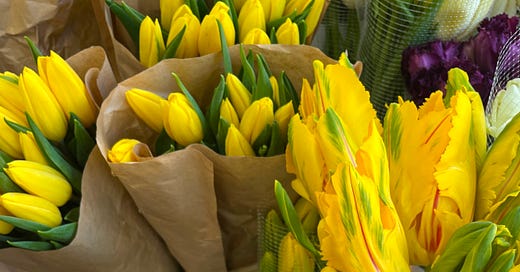 Eliza Goodpasture | Substack