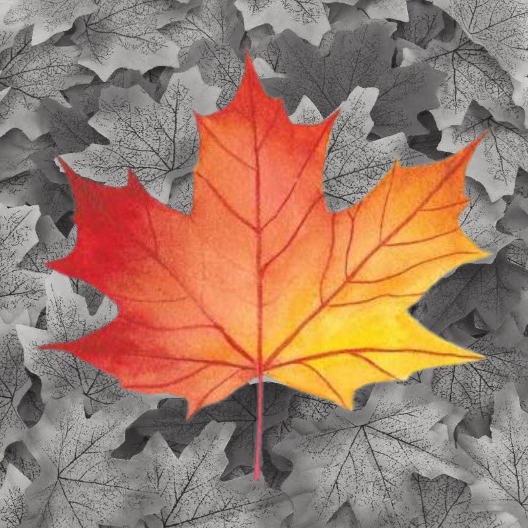 Ken Hiebert | Substack