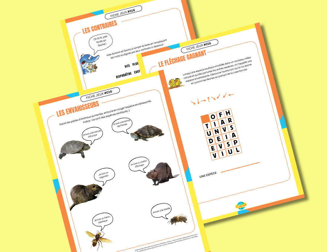 Génération Plancton | Substack