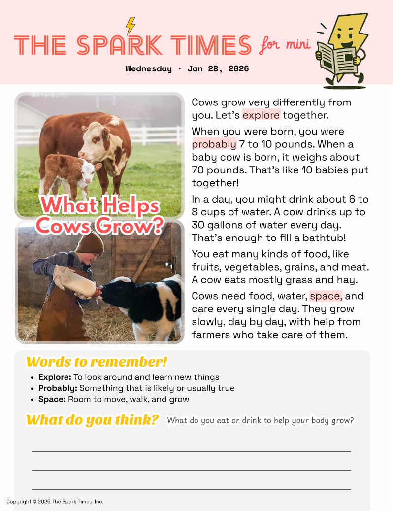 Spark Times Mini | What Helps Cows Grow?
