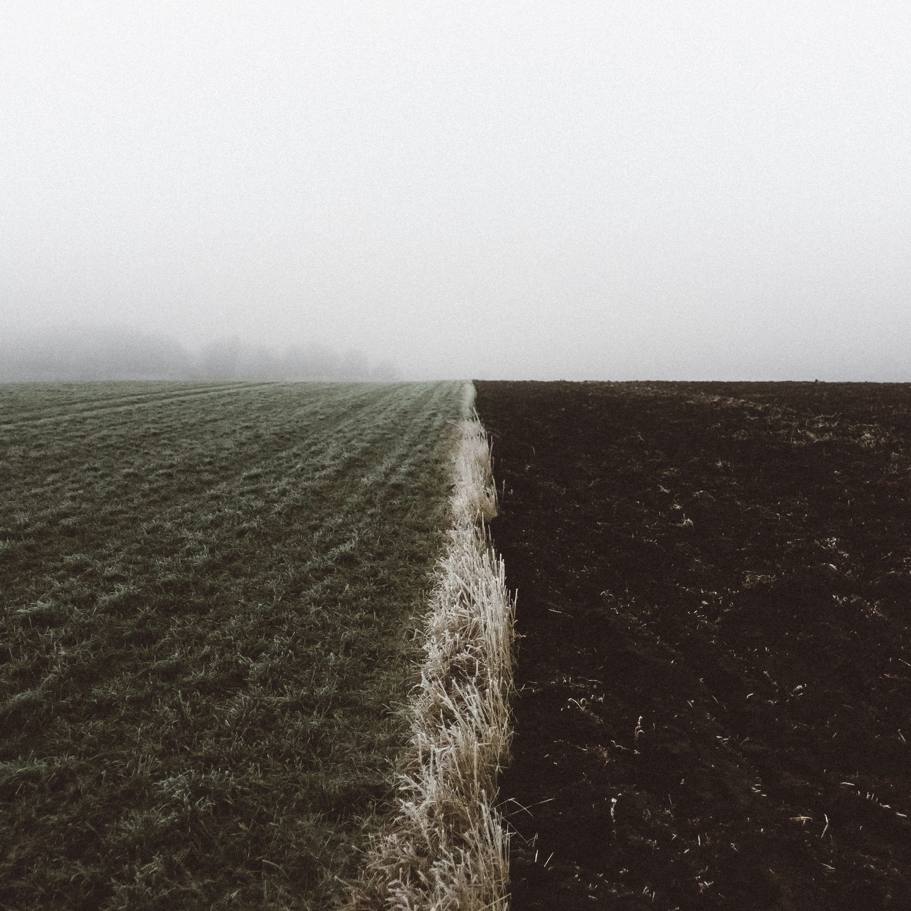 Wokeness: A Path to Justice or a Divisive Force?