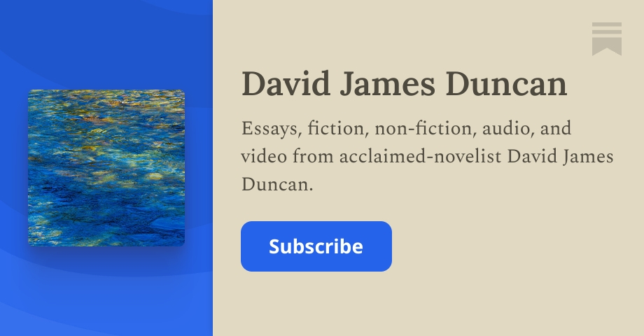 About - David James Duncan