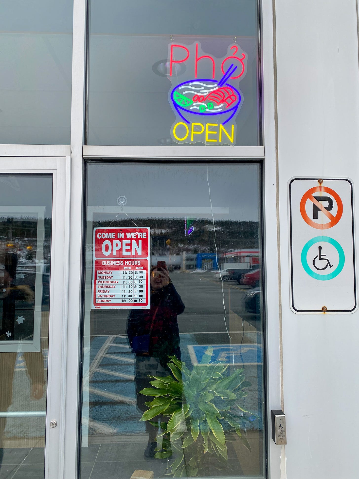 A soup-ful oasis on Kenmount Road: Basil Leaf restaurant review
