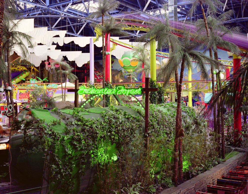 Three free exhibitions to open in Sunderland in January